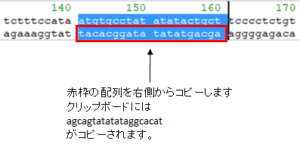 逆相補鎖のコピー - GENETYX